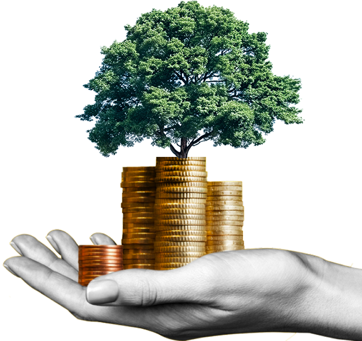 Home- eFinance Doctor